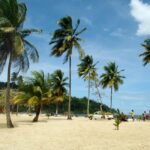 Maracas: Day Trip to Maracas Beach from Port of Spain - Who Is This Trip Best For?