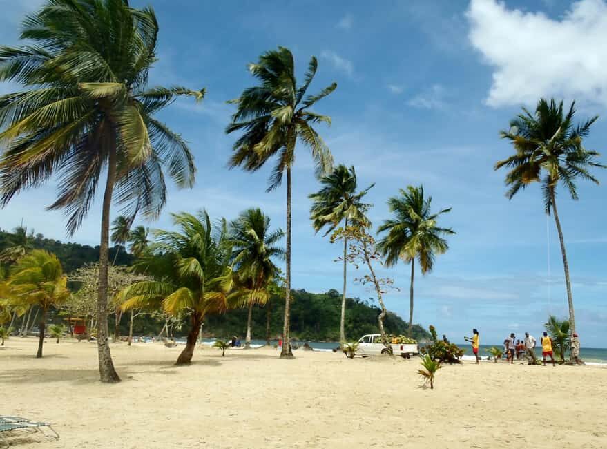 Maracas: Day Trip to Maracas Beach from Port of Spain - Who Is This Trip Best For?