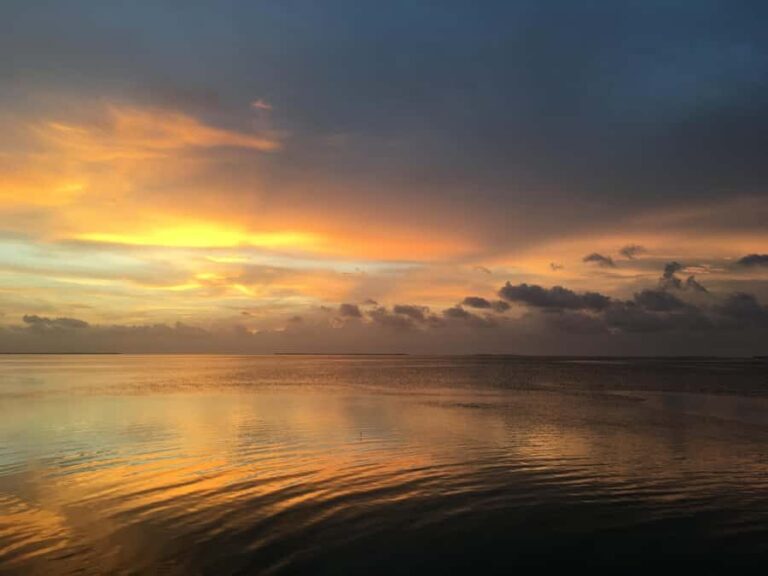 Marathon Key FL: Snorkel Trips and Sunset Cruises - What to Expect on This Water Adventure
