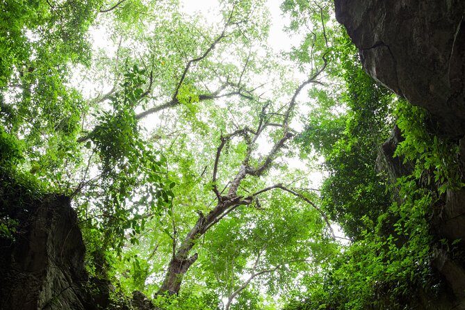 Marble Mountains, Stone Carving Village & Linh Ung Pagoda - Whats Included, Whats Not