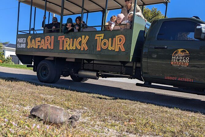 Marco Island Safari Truck Tour - The Sum Up: Is It Worth It?
