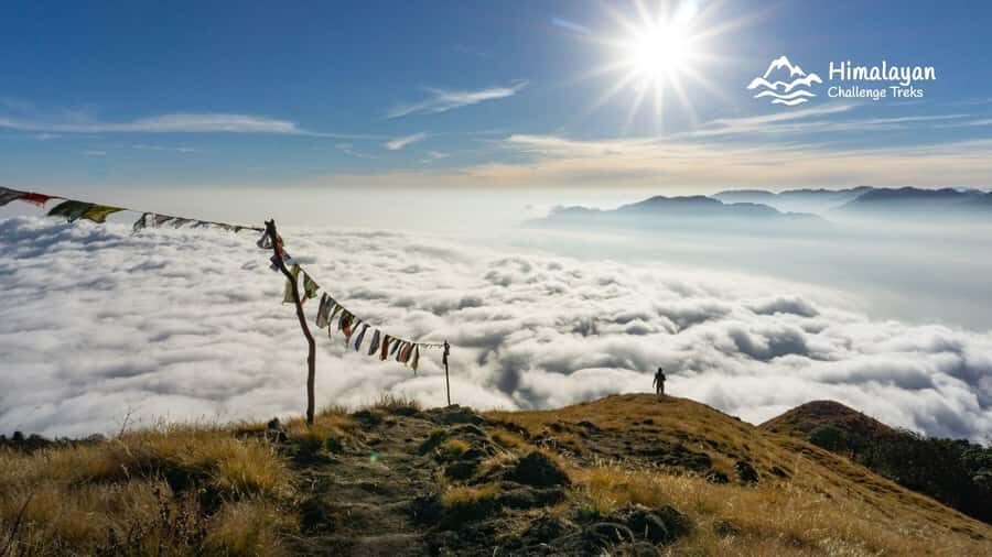 Mardi Himal Trek in 7 Days where Solitude Meets the Peak - What Makes This Trek Special?