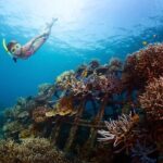 Margaritaville/Jeski Tour or Snorkeling in Montego Bay - Transport and Price Point