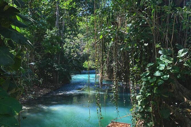 Martha Brae Bamboo Rafting plus Blue Hole and Secrets Fall Private Tour - What’s Included and What to Consider