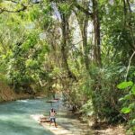 Martha Brae Bamboo River Rafting With Transportation - Frequently Asked Questions (FAQs)