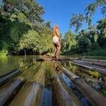Martha Brae River Rafting Experience from Falmouth/ Trelawny - The River: A Gentle, Picturesque Canoe Through Nature