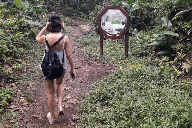 Martinique North Island Private Tour - What Do Travelers Say?