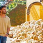 Master Dobel Blending - Who Will Love This Tour?