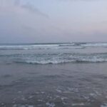 Matara: Temples, Hot Springs, and River Safari Day Trip - The Practicalities: What to Expect