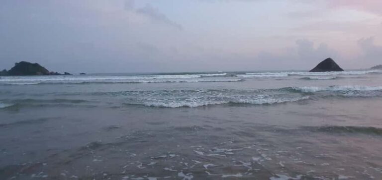 Matara: Temples, Hot Springs, and River Safari Day Trip - The Practicalities: What to Expect