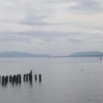 Matsue 4hr Private Tour with Government-Licensed Guide - A Closer Look at the Itinerary Options