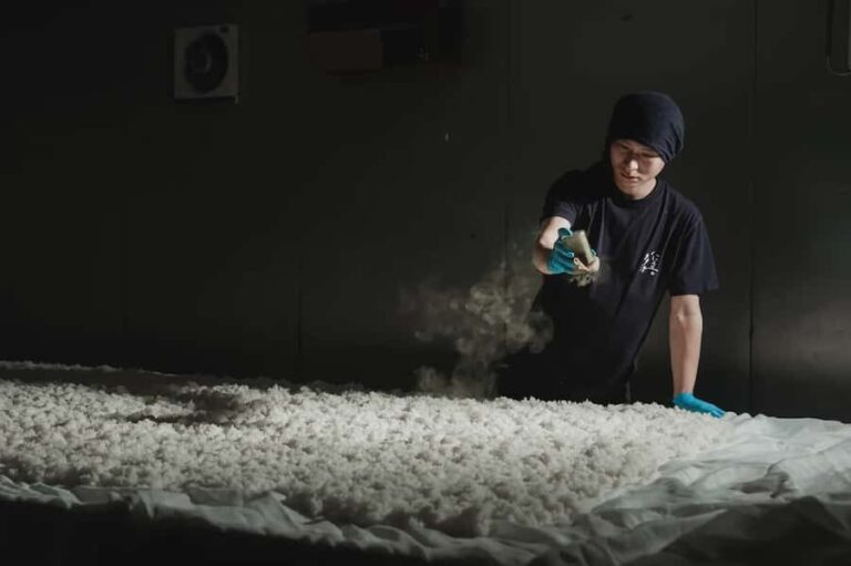 Matsuyama: Minakuchi Sake Brewery Tour with Tasting - Practicalities & Tips