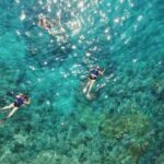 Maui Eco Raft: Turtle Snorkel + Whale Watch(Semi-Private) - What to Expect and Why It Matters