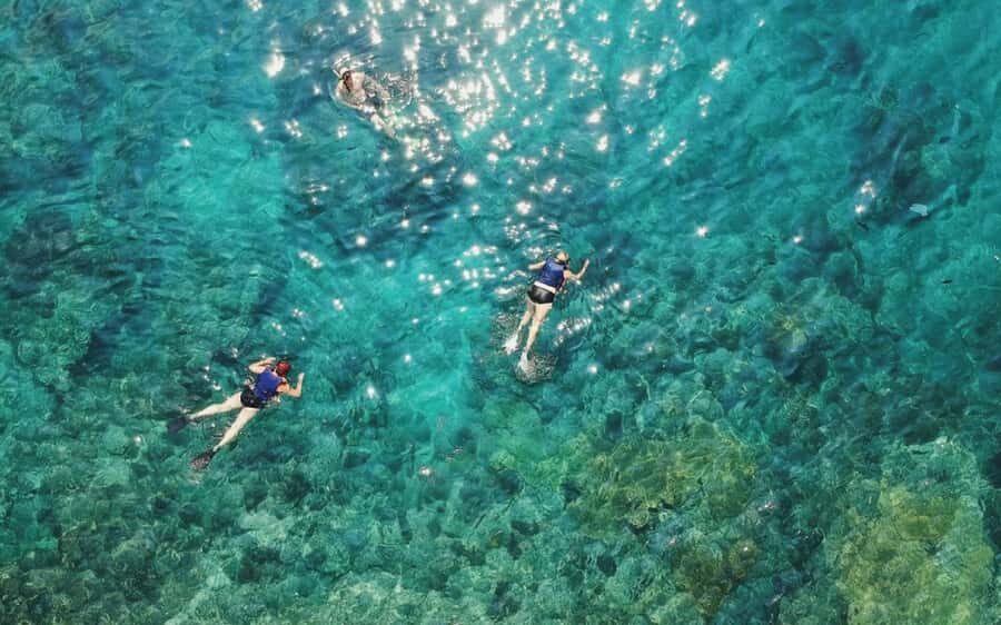 Maui Eco Raft: Turtle Snorkel + Whale Watch(Semi-Private) - What to Expect and Why It Matters