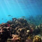 Maui: Flotation Therapy Equipment Rental - The Experience Itself: What to Expect