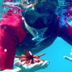 Maui: Guided Snorkeling for Beginners with Flotation Wetsuit - The Itinerary: What to Expect
