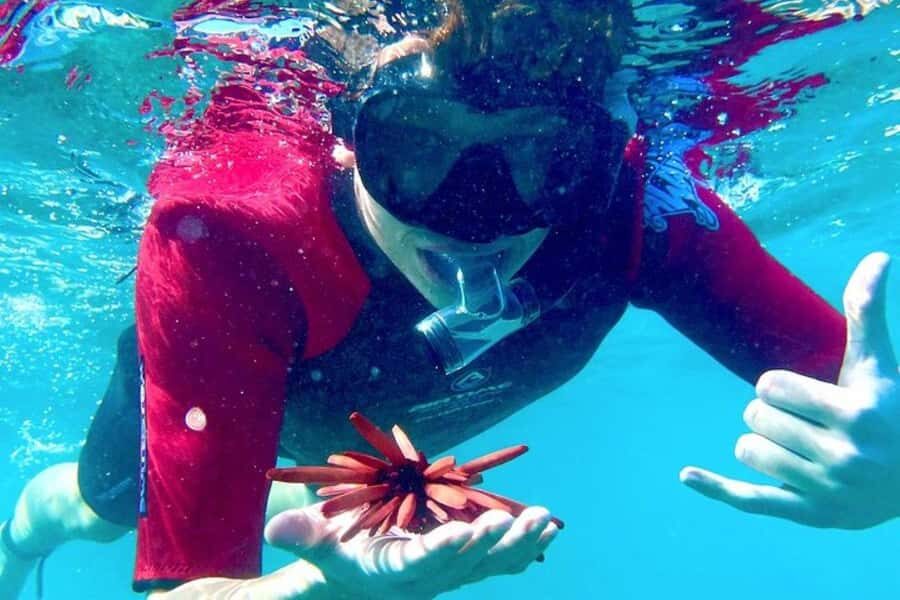 Maui: Guided Snorkeling for Beginners with Flotation Wetsuit - The Itinerary: What to Expect