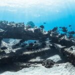 Maui: Kaanapali Beach 5-hour Snorkel w/ BBQ Lunch & Open Bar - Who Will Love This Tour?