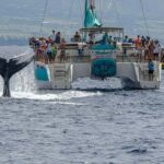 Maui: Ka'anapali Whale Watching Cruise on Luxury Sailboat - The Value of This Tour