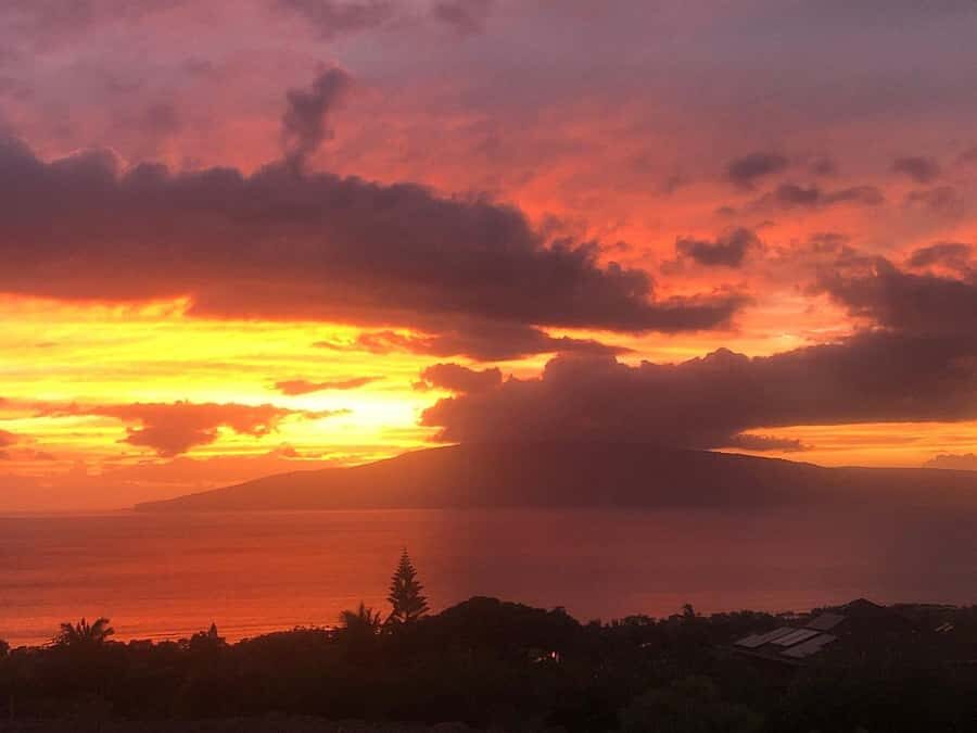 Maui: Mango Farm Sunset Tour with Fruit Tasting and Photos - What’s the Value?