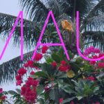 Maui Mini Retreat - An Intimate and Tailored Wellness Experience