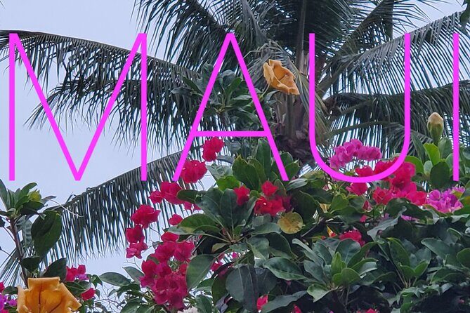 Maui Mini Retreat - An Intimate and Tailored Wellness Experience