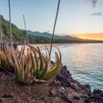 Maui: Stand-Up Paddleboard Rental - Why this SUP rental stands out