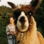 Maui: Sunset Llama Trek on Haleakala - The Highlights of the Trek