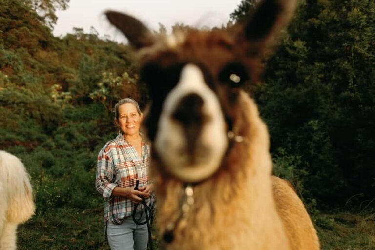 Maui: Sunset Llama Trek on Haleakala - The Highlights of the Trek