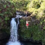 Maui's Sea Turtle & Waterfalls: Taste of Hana Guided Tour - The Value of This Tour