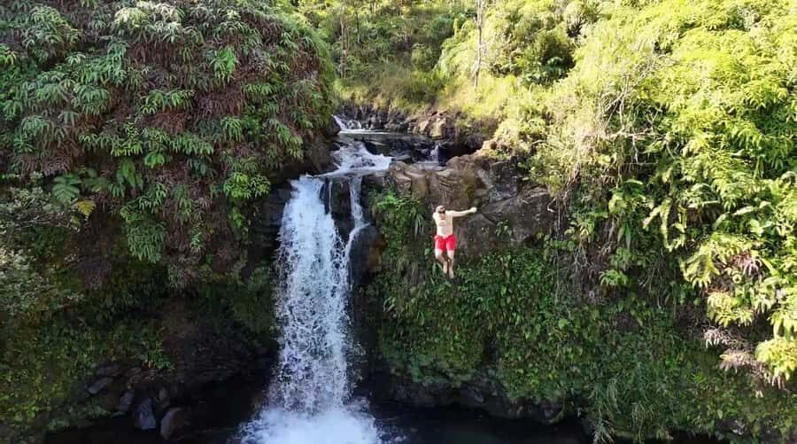 Maui's Sea Turtle & Waterfalls: Taste of Hana Guided Tour - The Value of This Tour