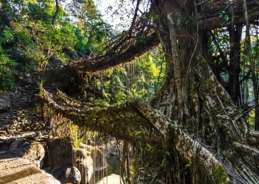 Mawlynnong: Guided Day Trip from Shillong with Hotel Pickup - The Return Journey and Final Impressions