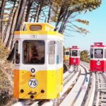 Max Out Busan: Highlight Top Attractions One Day Tour - Practical Details and What to Expect