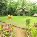 Mayfield Falls and Benta Falls Private Tour - What Awaits at Mayfield Falls: The Heart of the Experience