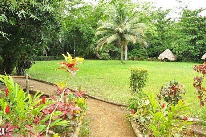 Mayfield Falls and Benta Falls Private Tour - What Awaits at Mayfield Falls: The Heart of the Experience