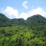 Mayfield Falls nature walk & Negril Hi-light Ricks Cafe - Why This Tour Offers Good Value