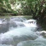 Mayfield Falls River Walk Private Tour - Detailed Tour Breakdown