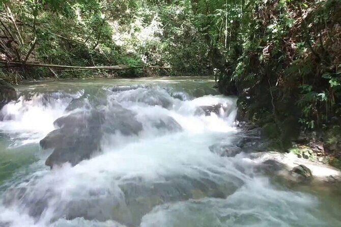 Mayfield Falls River Walk Private Tour - Detailed Tour Breakdown