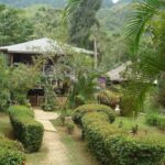 Mayfield Falls River Walk with Private Transportation - What to Expect from the Tour