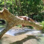 Mayfield Falls Tour with Lunch, drink, Entry & Transp(Original) - Transportation and Group Size