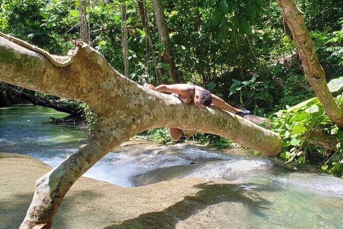 Mayfield Falls Tour with Lunch, drink, Entry & Transp(Original) - Transportation and Group Size