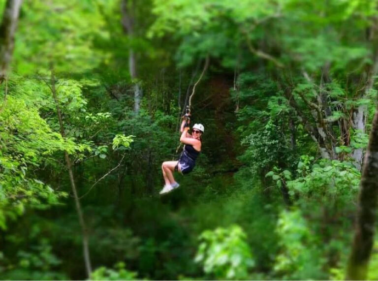 Mazatlán: Zipline Adventure & Distillery Tour with Pickup - The Bottom Line