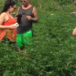 MBJ - Hotels in Ocho Rios - FAQ