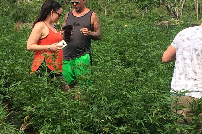 MBJ - Hotels in Ocho Rios - FAQ