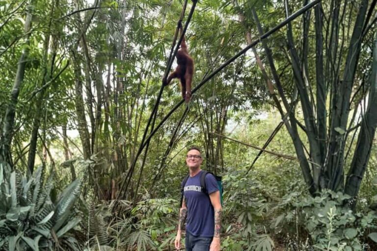 Medan: Mount Leuser National Park Full-Day Trip - The Experience: What Travelers Say