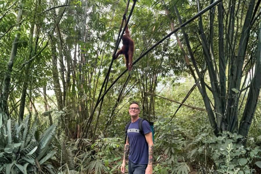 Medan: Mount Leuser National Park Full-Day Trip - The Experience: What Travelers Say