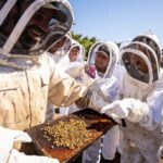 Meet the Bees Guided Apiary Tour and Honey Tasting - Practical Details That Matter