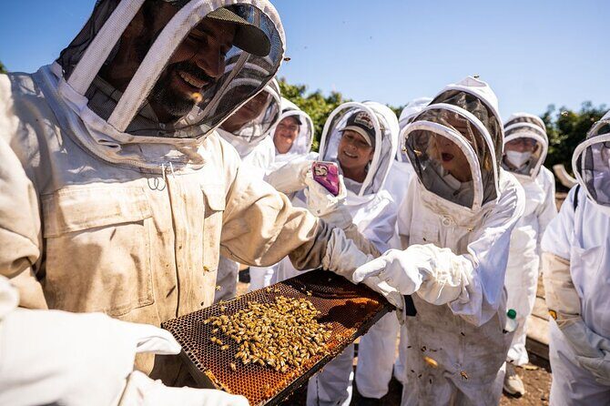Meet the Bees Guided Apiary Tour and Honey Tasting - Practical Details That Matter