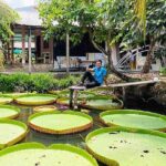 Mekong River Retreat 2 Days And 1 Night Adventure - What Travelers Say About This Tour