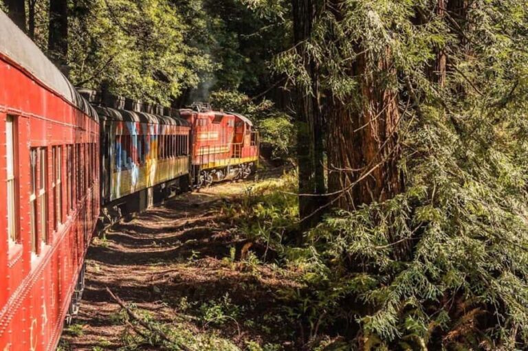 Mendocino County: Skunk Train Pudding Creek Train Ride - Final Thoughts